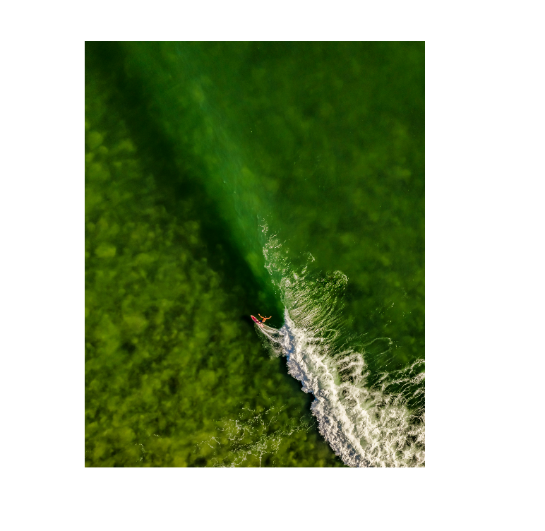 Simon Pratley's Freedom 81x110 – Tahei Decor Manly